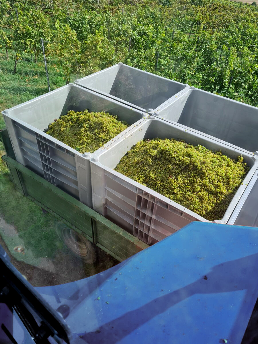 Winemaker upholds wine tradition with Craemer CB3 High